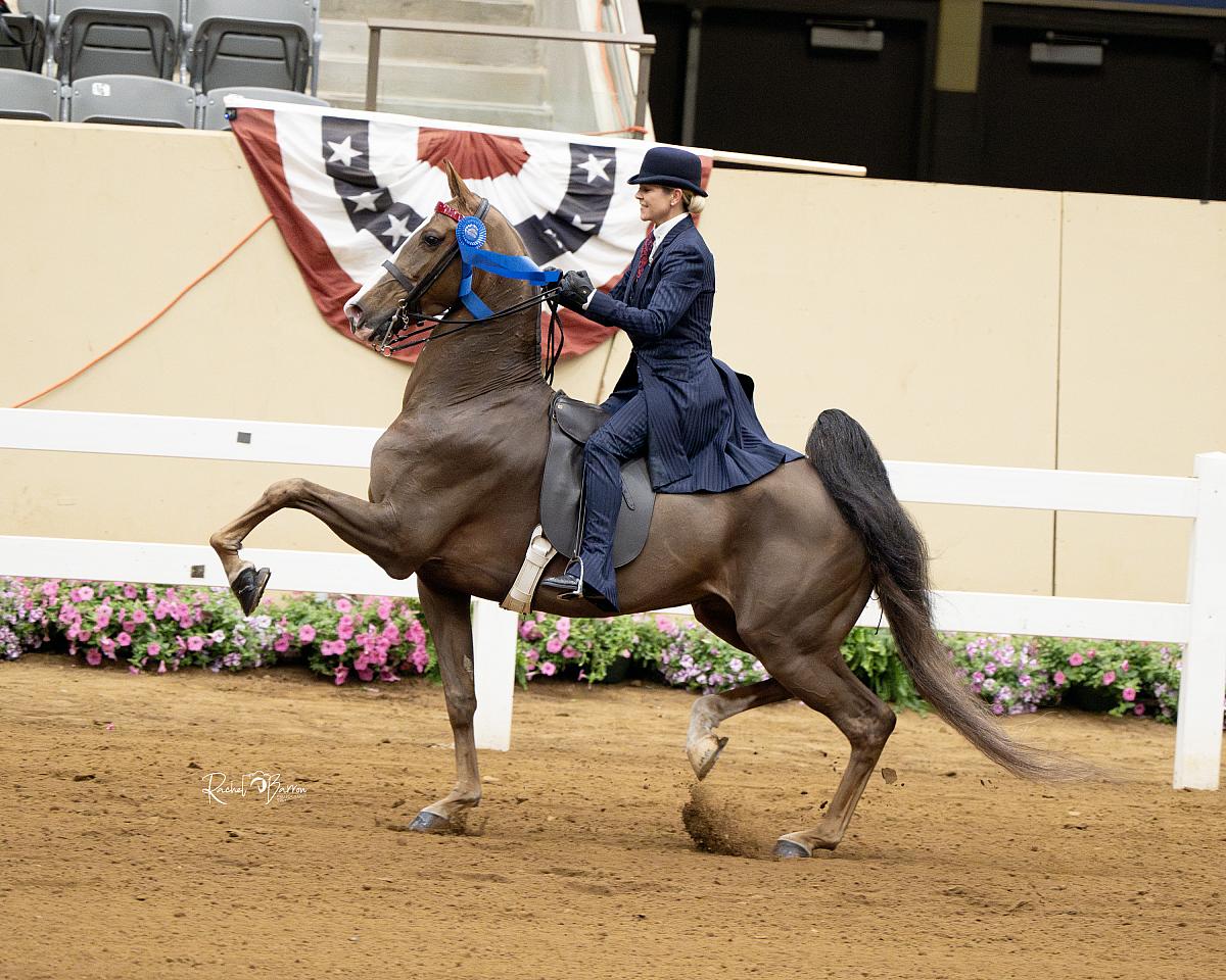2025 Kentucky Spring Premier - Horse Shows - Rachel Barron Photography